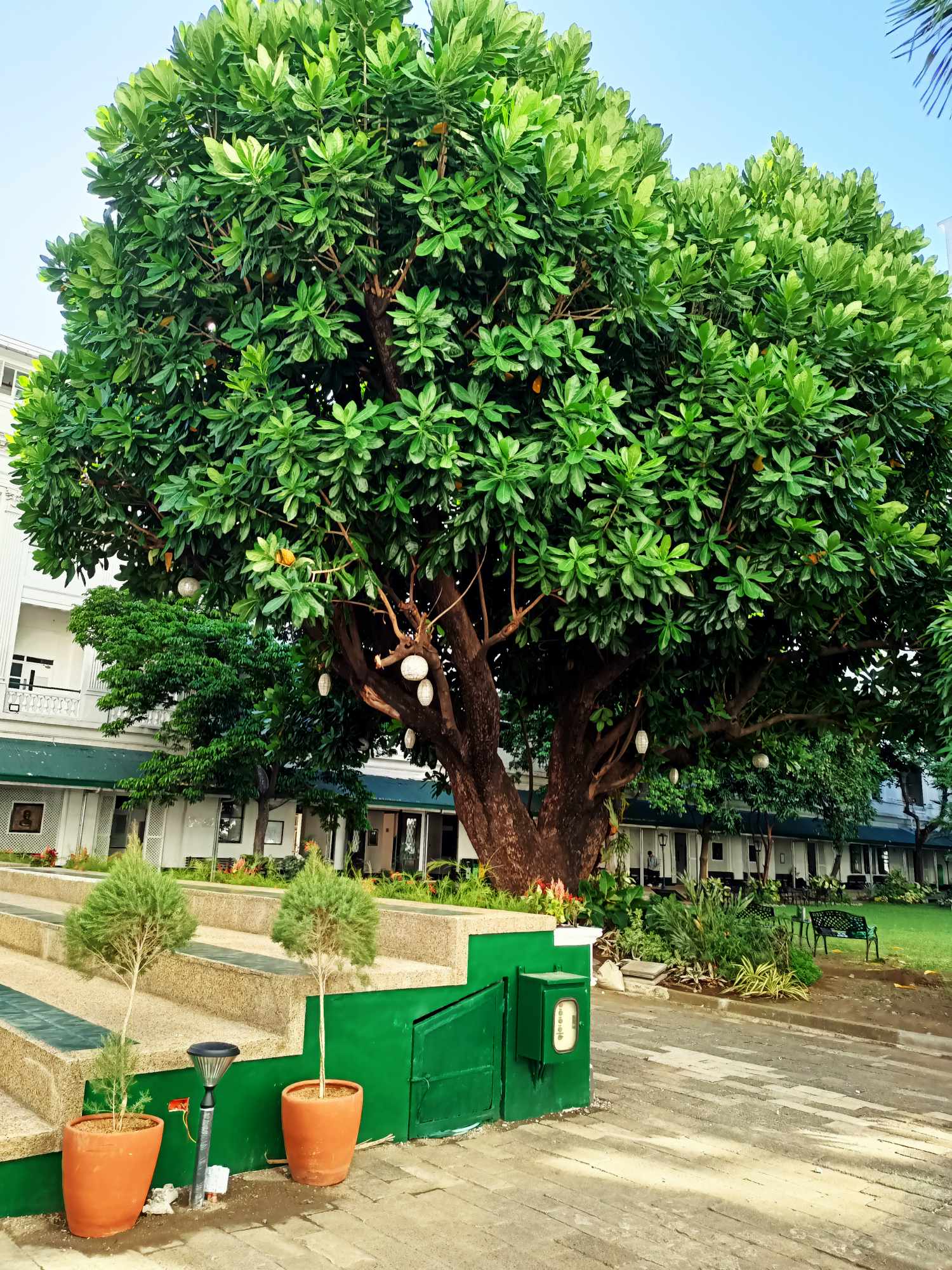 Travel to Manila – Asian TV Dramas and the Popular Mind in Southeast Asia